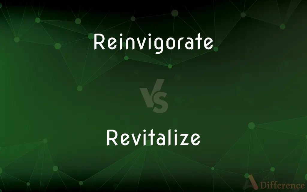 Reinvigorate vs. Revitalize — What’s the Difference?