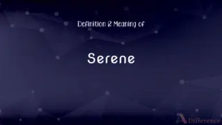Damp Definition and Meaning