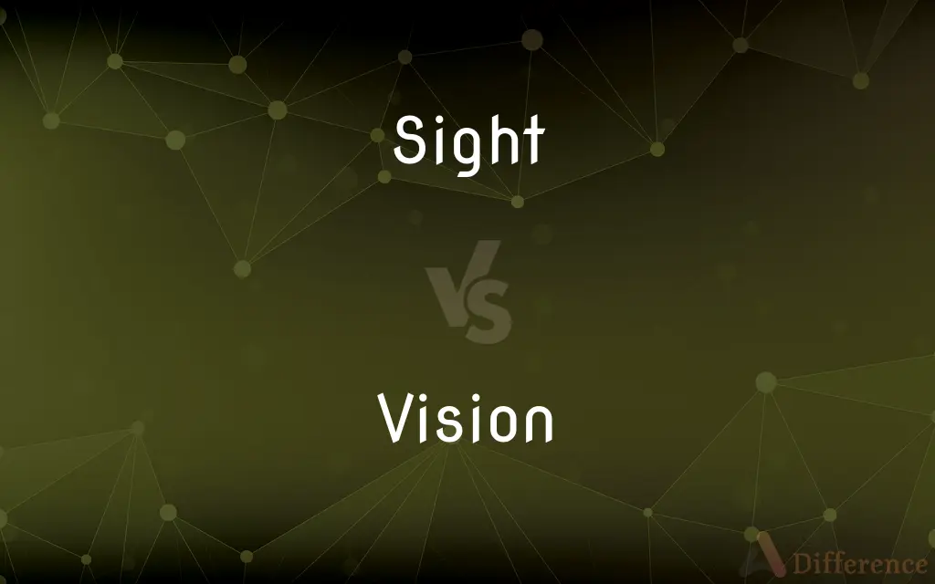 Sight Vs Vision What s The Difference Sight Vs Vision What s The Difference