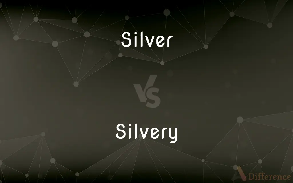 Silver vs. Silvery — What’s the Difference?