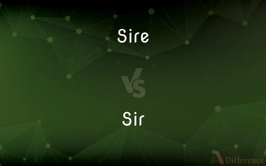 Sire vs. Sir — What’s the Difference?