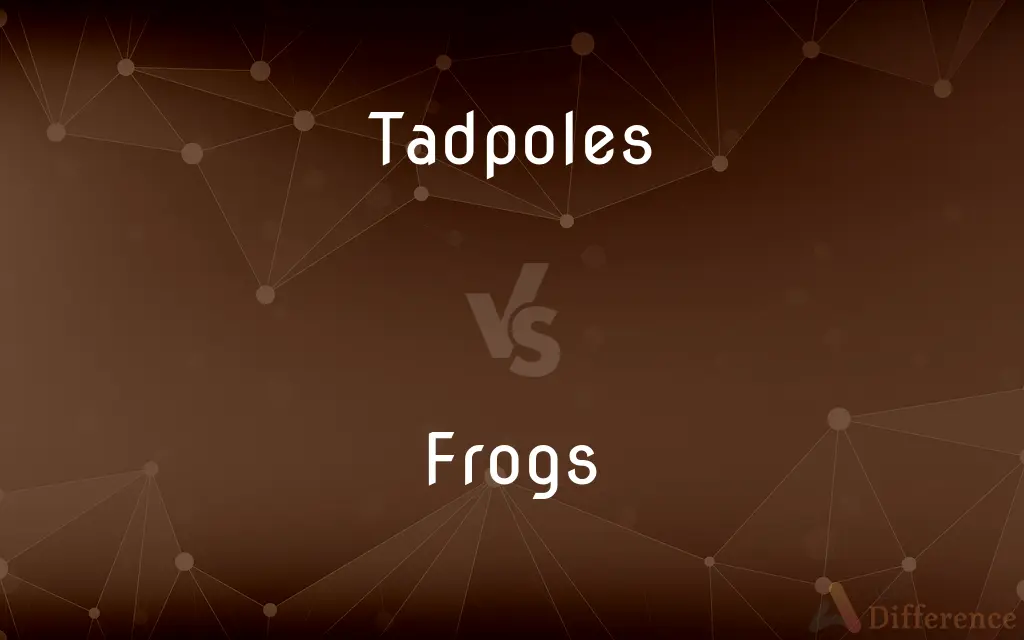Tadpoles vs. Frogs — What’s the Difference?