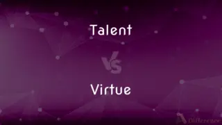 Broad vs. Vague — What’s the Difference?