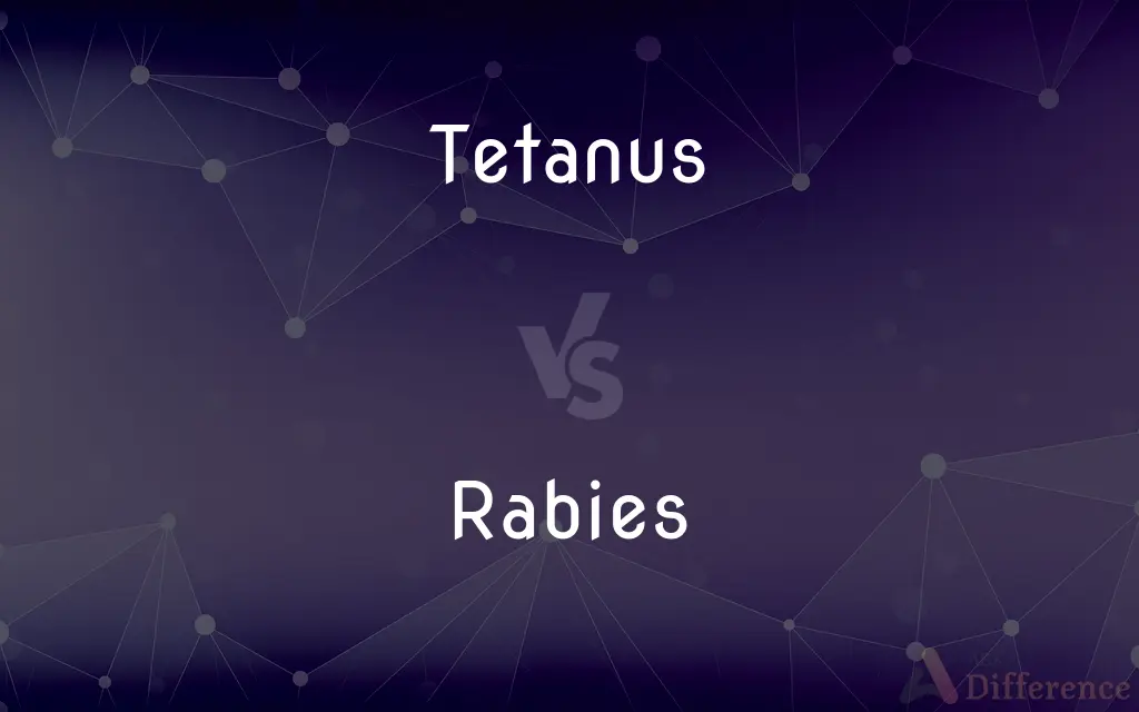Tetanus vs. Rabies — What’s the Difference?
