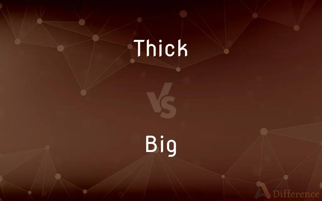 Thick vs. Big — What’s the Difference?