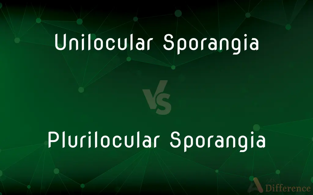 Unilocular Sporangia vs. Plurilocular Sporangia — What’s the Difference?