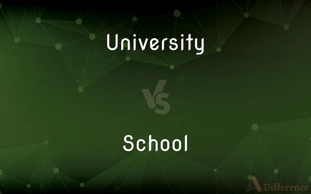 University vs. School — What’s the Difference?