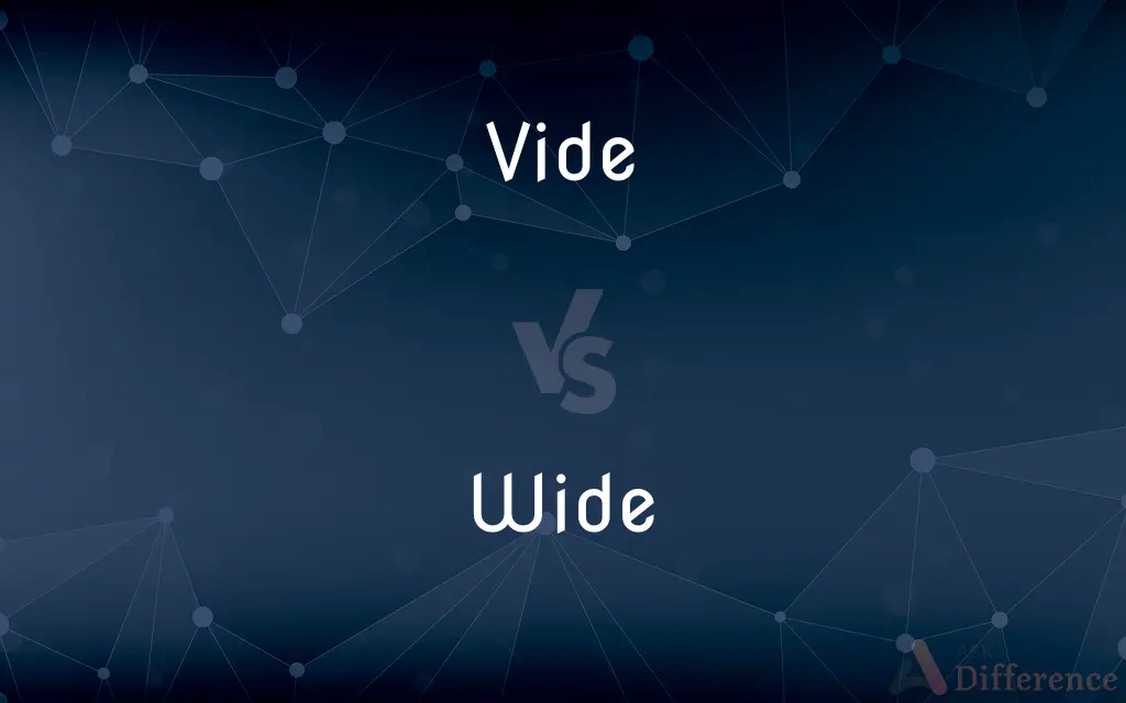 Vide vs. Wide — What’s the Difference?