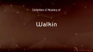 Addon Definition and Meaning